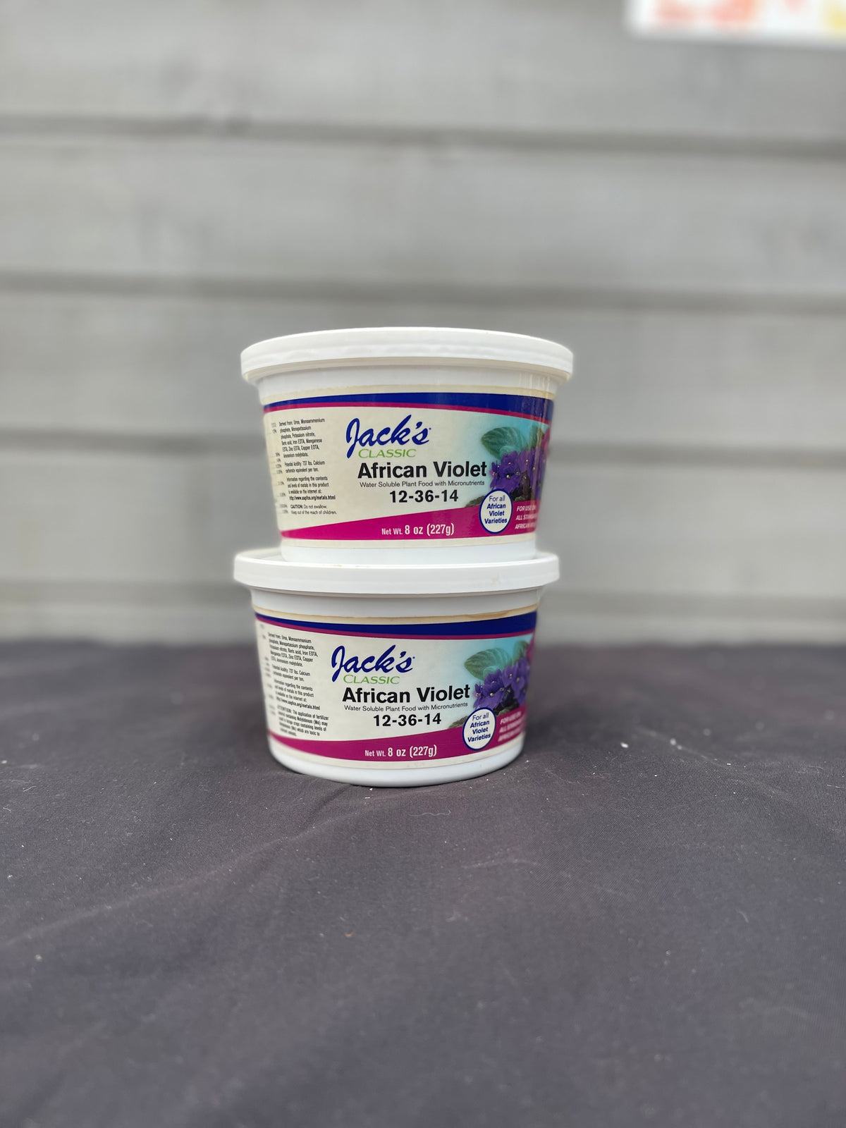 Jacks Classic African Violet — Ritters Garden and Gift